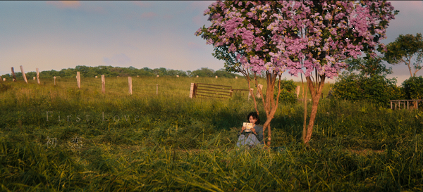 Netflixシリーズ 「First Love 初恋」満島ひかり × 佐藤健 20年余りに渡る運命の“初恋”をたどる 珠玉のラブストーリー ...